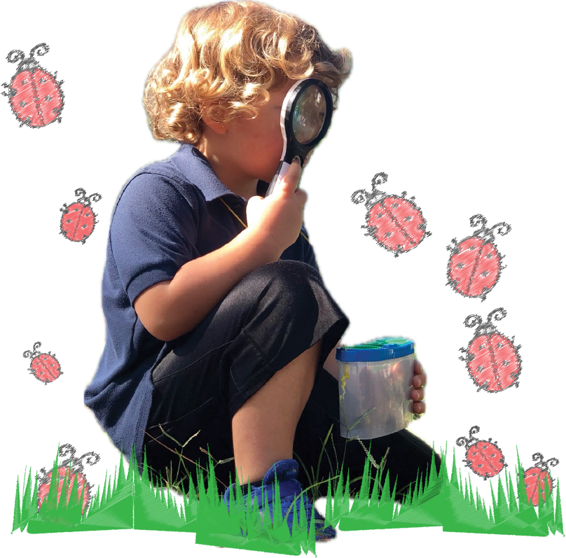 Prodigy Learning